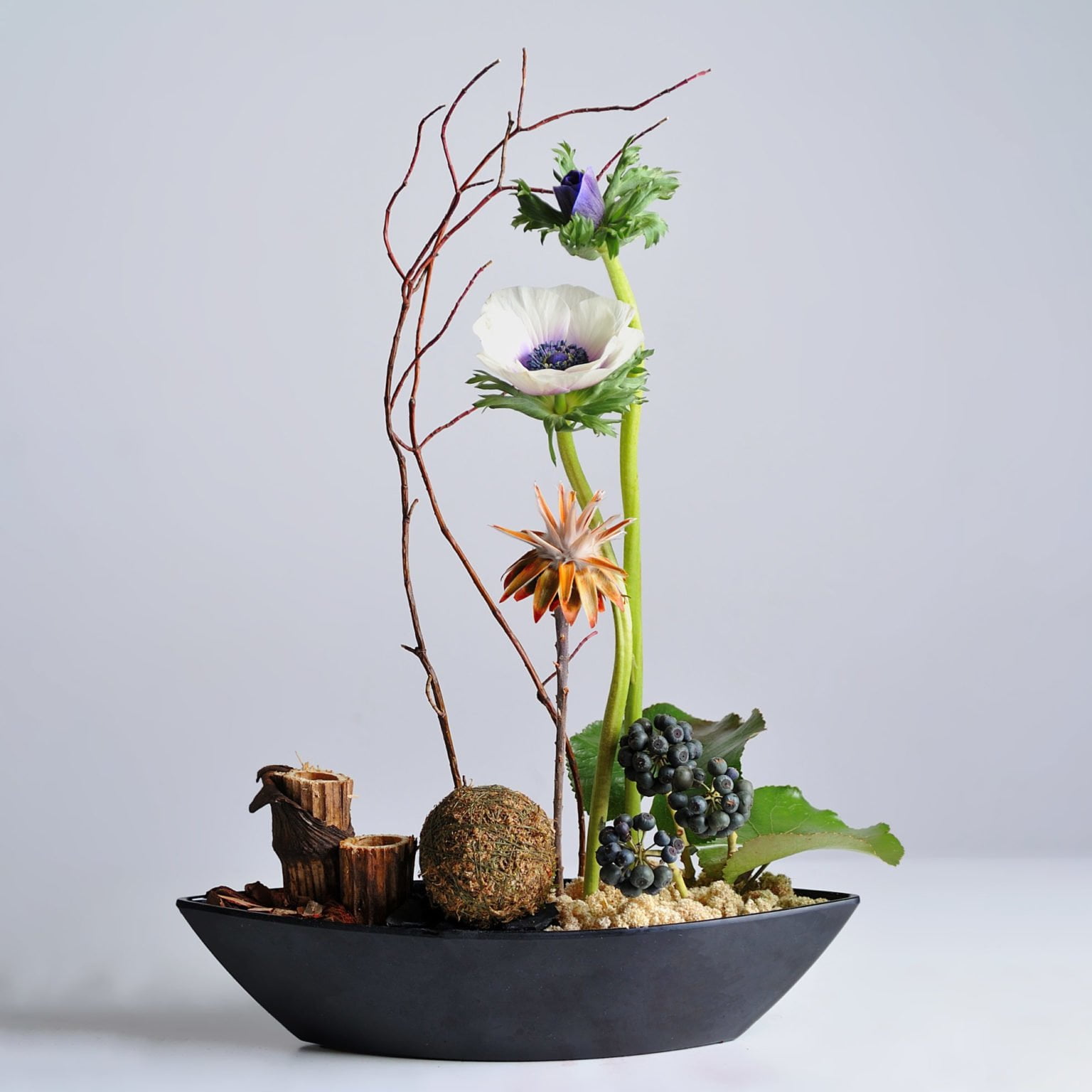 Анемона (Anemone) или Ветреница - Kazan Flower School